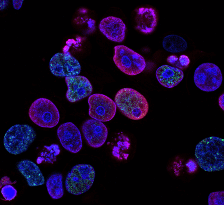Valency Of Nitrogen | Jacks Of Science