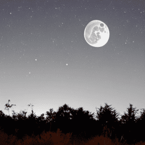 How Is The Moon Illuminated | Jacks Of Science