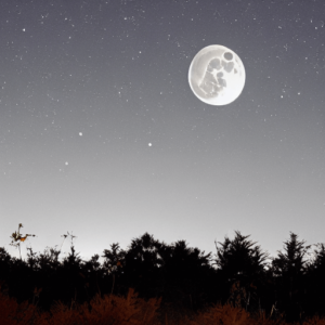 How Is The Moon Illuminated | Jacks Of Science