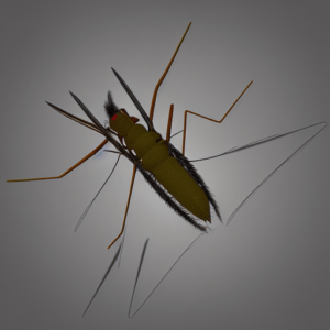 Life Cycle Of Plasmodium | Jacks Of Science