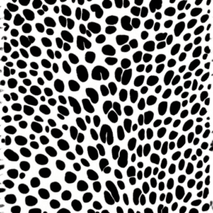 How To Draw Cheetah Print | Jacks Of Science