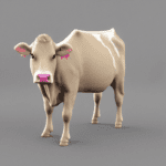 How Fast Can A Cow Run | Jacks Of Science