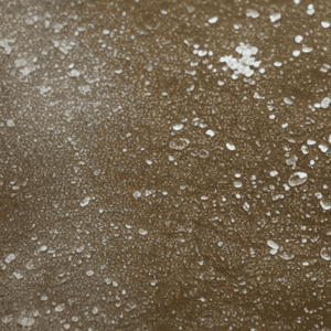 What Temp Does Salt Water Freeze? | Jacks Of Science