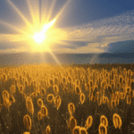 Light Energy Examples | Jacks Of Science