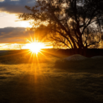 Sunrise Vs Sunset | Jacks Of Science