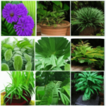 List Of Top 10 Most Exotic Plants In The World | Jacks Of Science