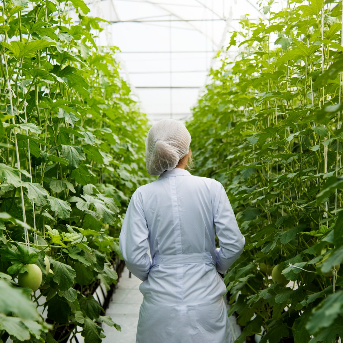 Home page | Jacks Of Science